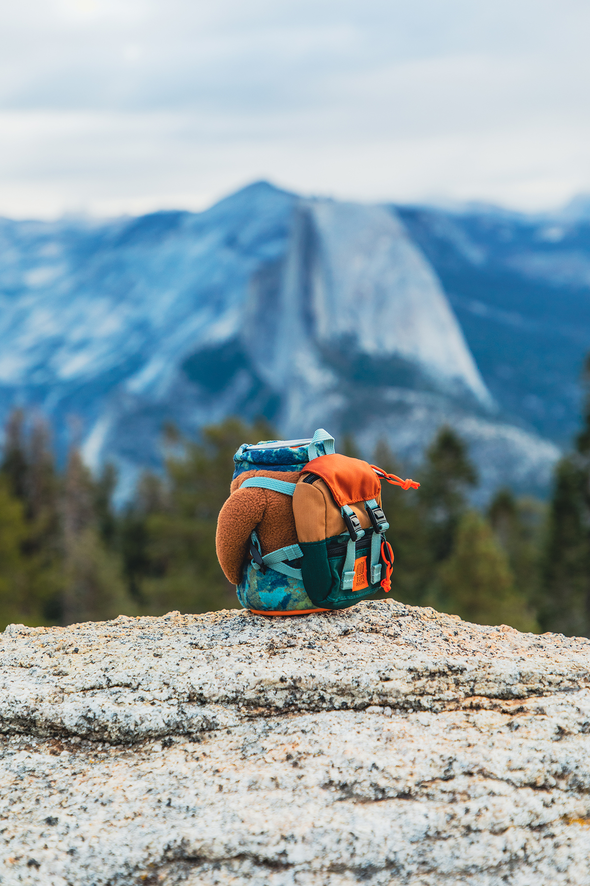 PUFFIN × TOP DESIGNS Drop Is the Perfect Holiday Gift for the ...